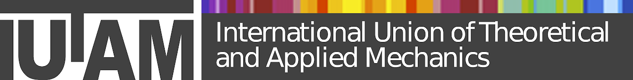 Work Presented at IUTAM | Yiming Meng